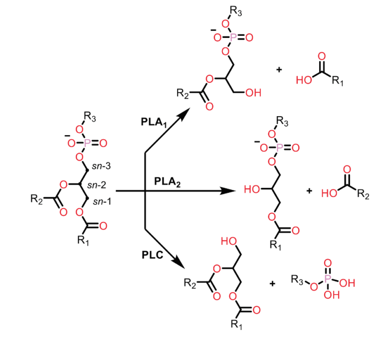 Pretreatments Using Massive Microfluidic Arrays: Degumming ...